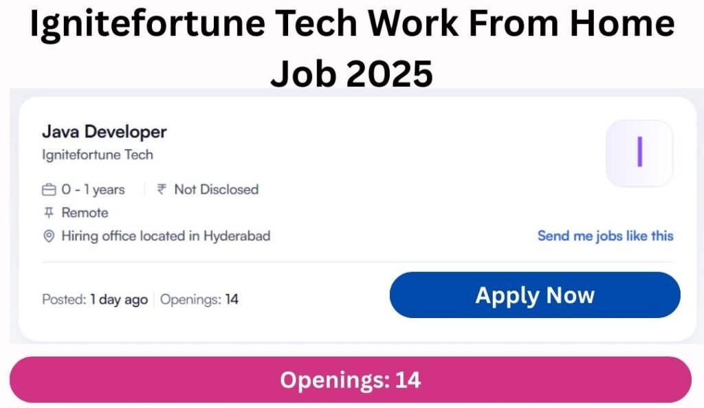 Ignitefortune Tech Work From Home Job 2025 hiring Java Developers |14 ...